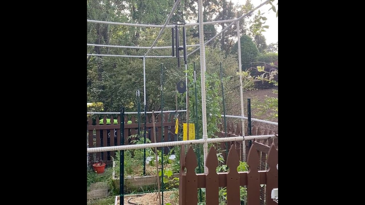 DIY PVC Garden Enclosure with Bird Netting: Protect Your Plants in ...