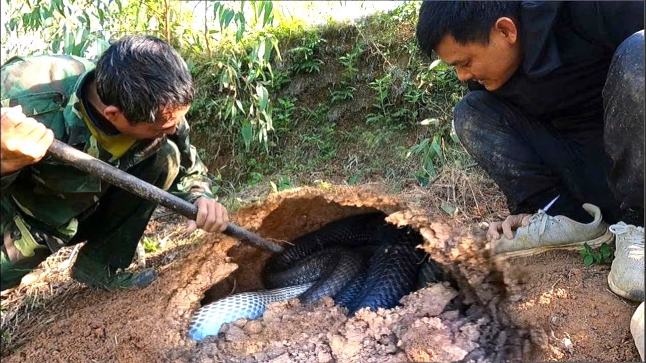 it was like a pit filled with poisonous snakes inside, unlike a regular ...