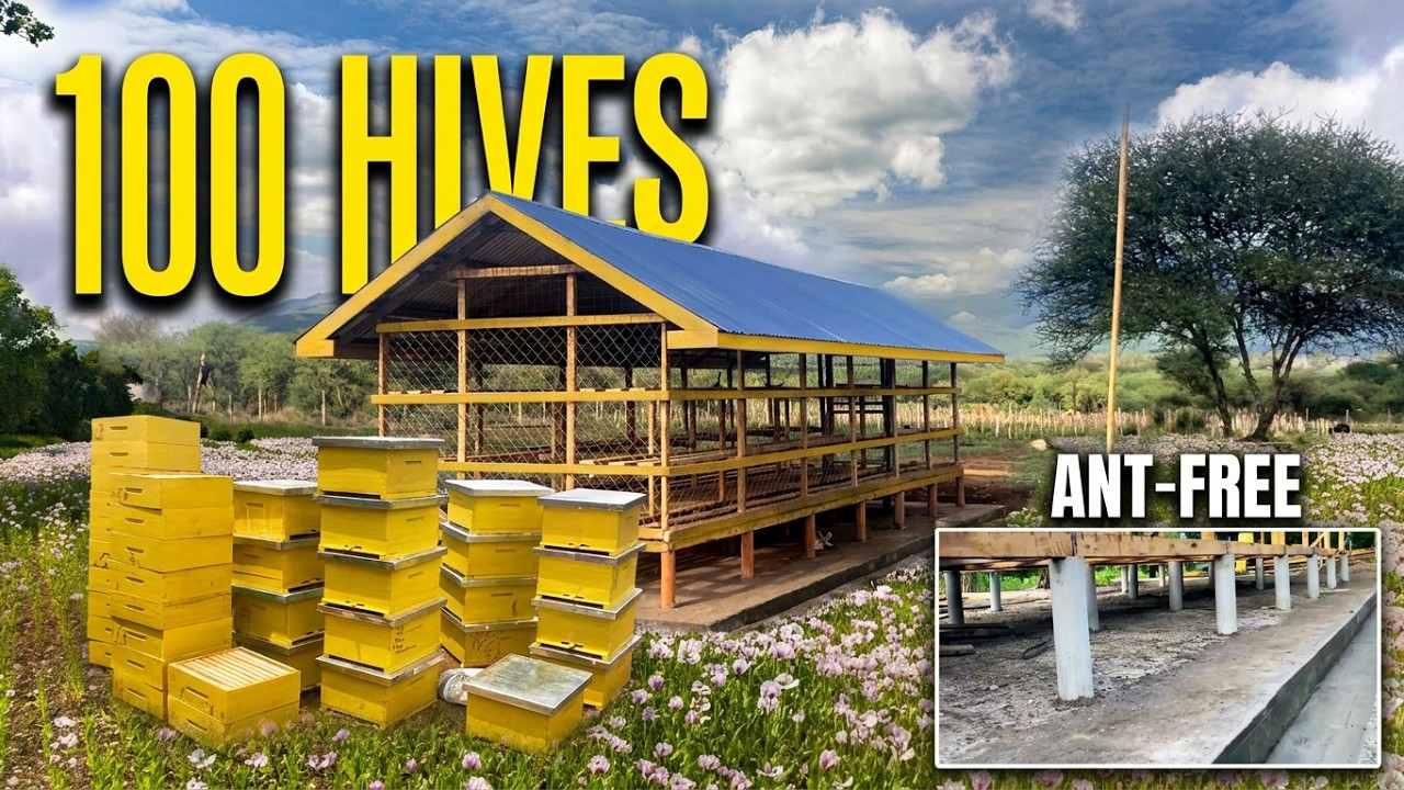 Africa Friendly Beehive Designs Honey Collecting In Prehistoric West