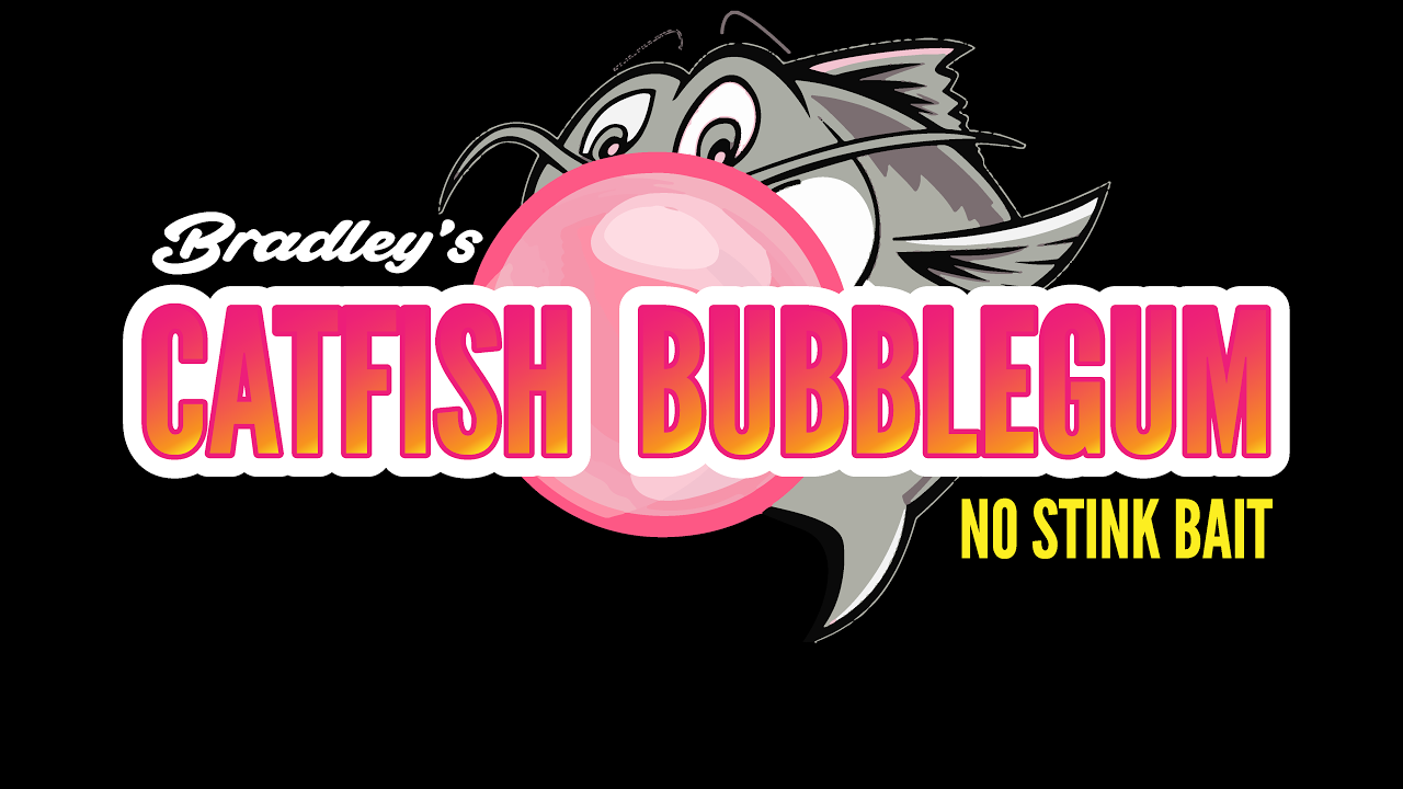 Catfish Bubblegum Live Stream - YouTube
