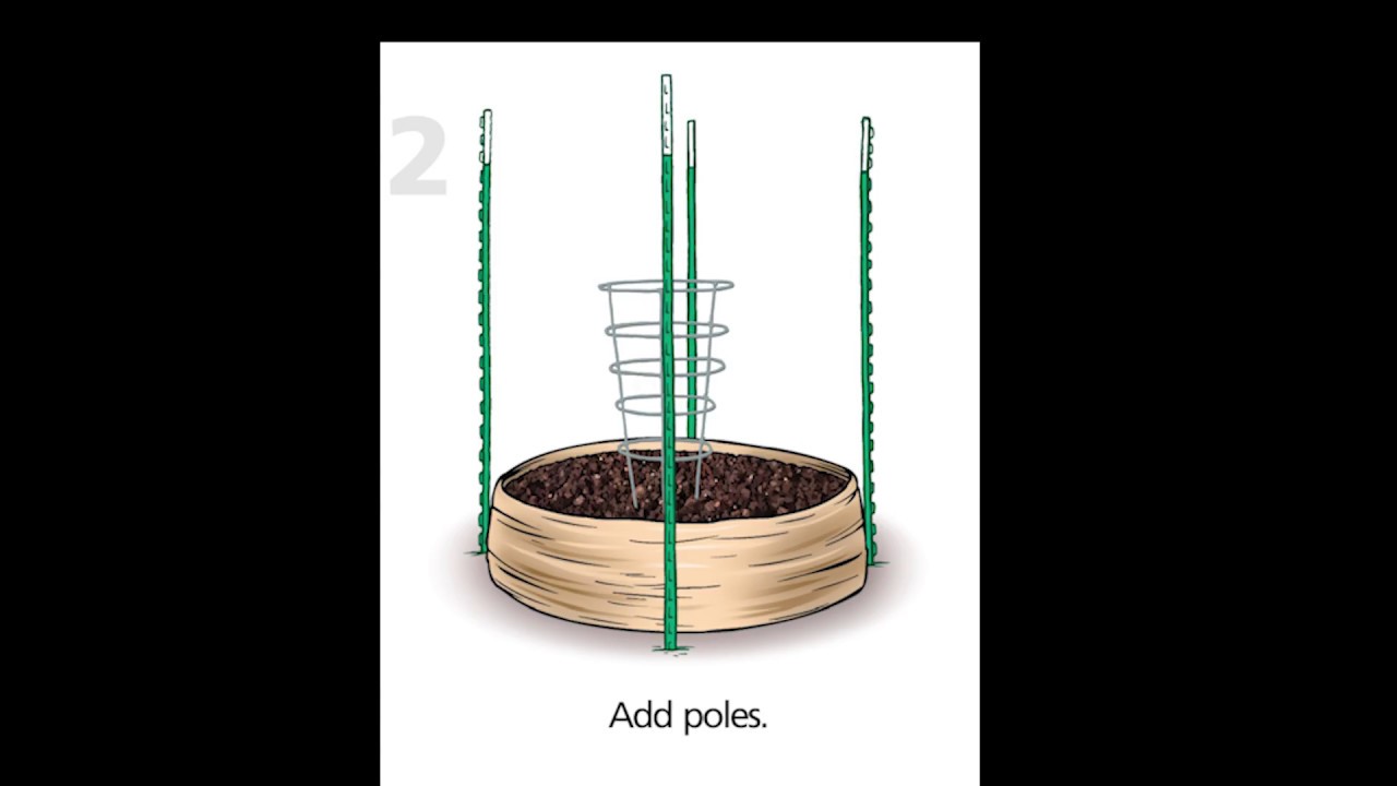 Growing Cannabis in Smart Pots using Trellis System - YouTube