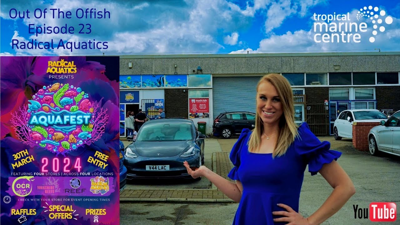 Out of the Offish With Colette Episode 23 - Radical Aquatics Aquafest ...