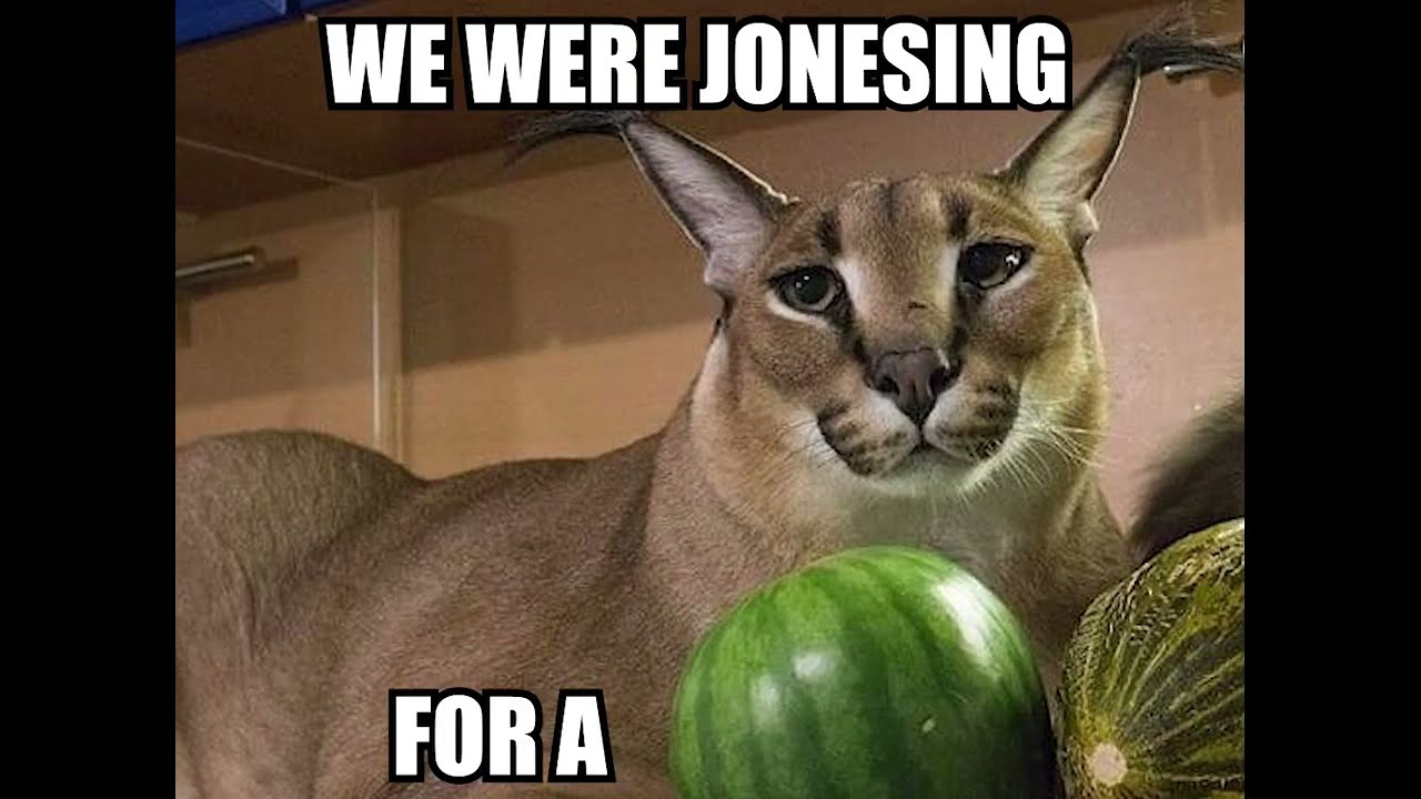 big floppa HD (original mp4 before I put it on VHS) - YouTube