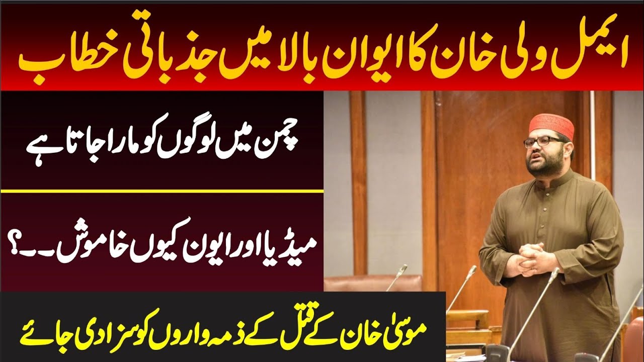 Aimal Wali Khan Fiery Speech In Senate Of Pakistan - YouTube