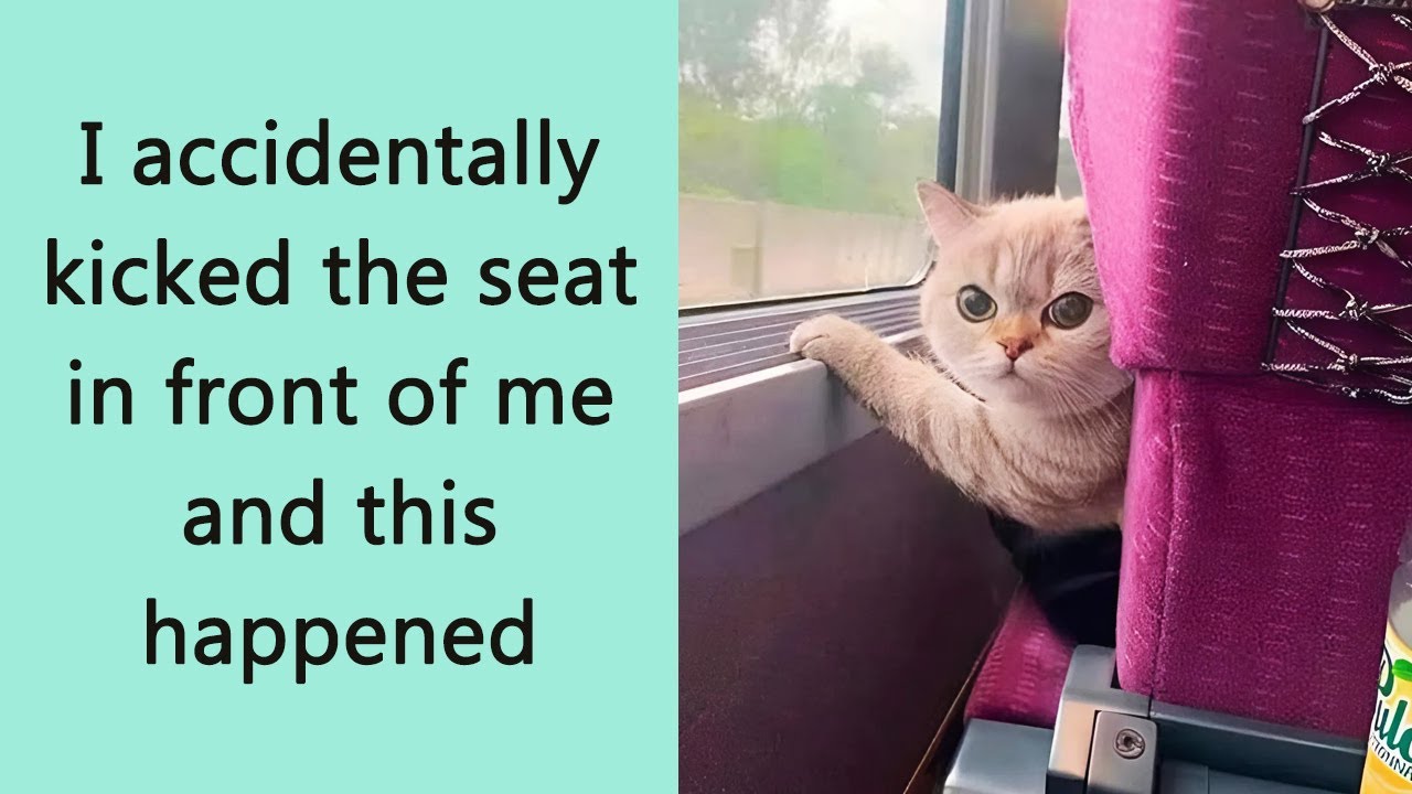50 Hilarious Photos and Memes That Prove Cats Are the Ultimate ...