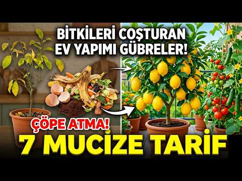 EV YAPIMI EN İYİ 7 DOĞAL GÜBRE | Bitki ve Çiçek Coşturan Tarifler #gübre