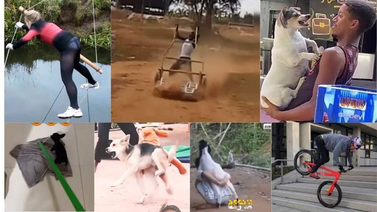 Top Funy fun clips video || Best funny shocking comedy videos - YouTube