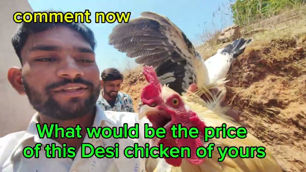 How To Make Desi Chicken In Tribal Village Desi Tribal Cock Recipe