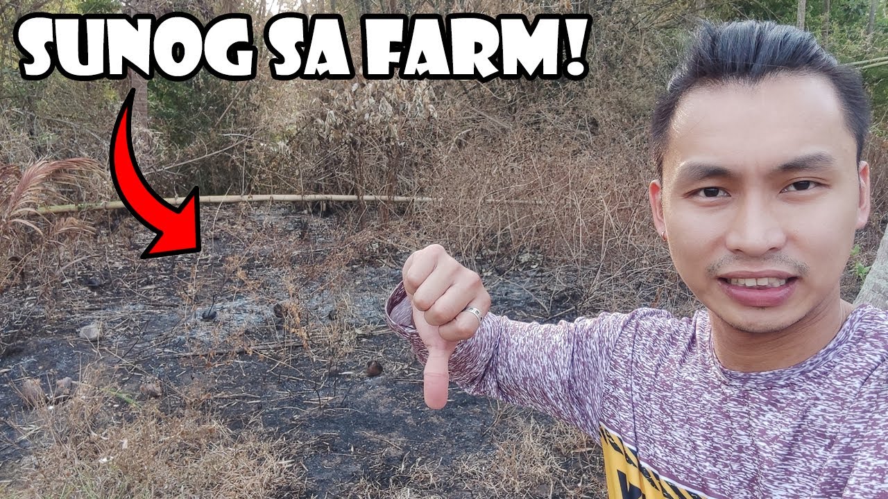 Sunog sa Farm! - YouTube
