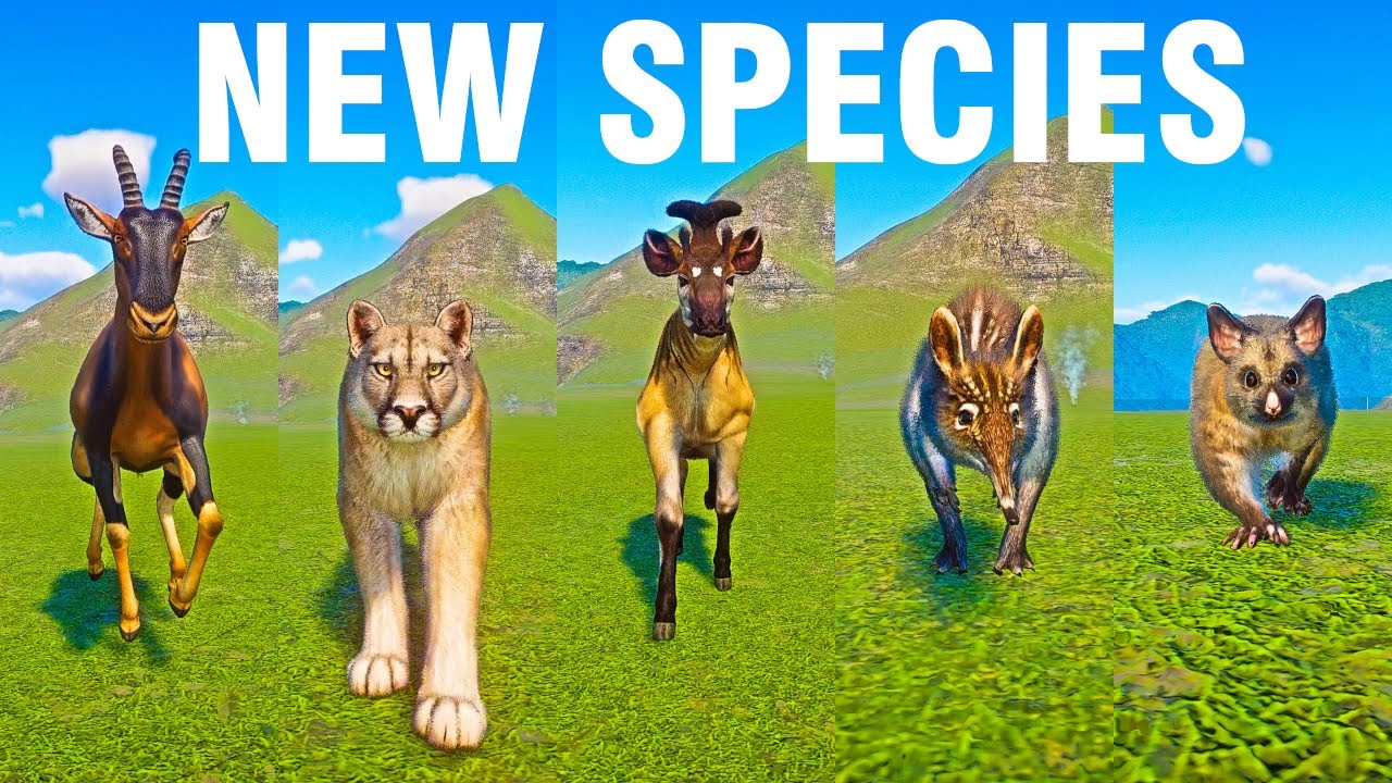 New Species Animals Speed Race in Planet Zoo included: Puma Possum ...