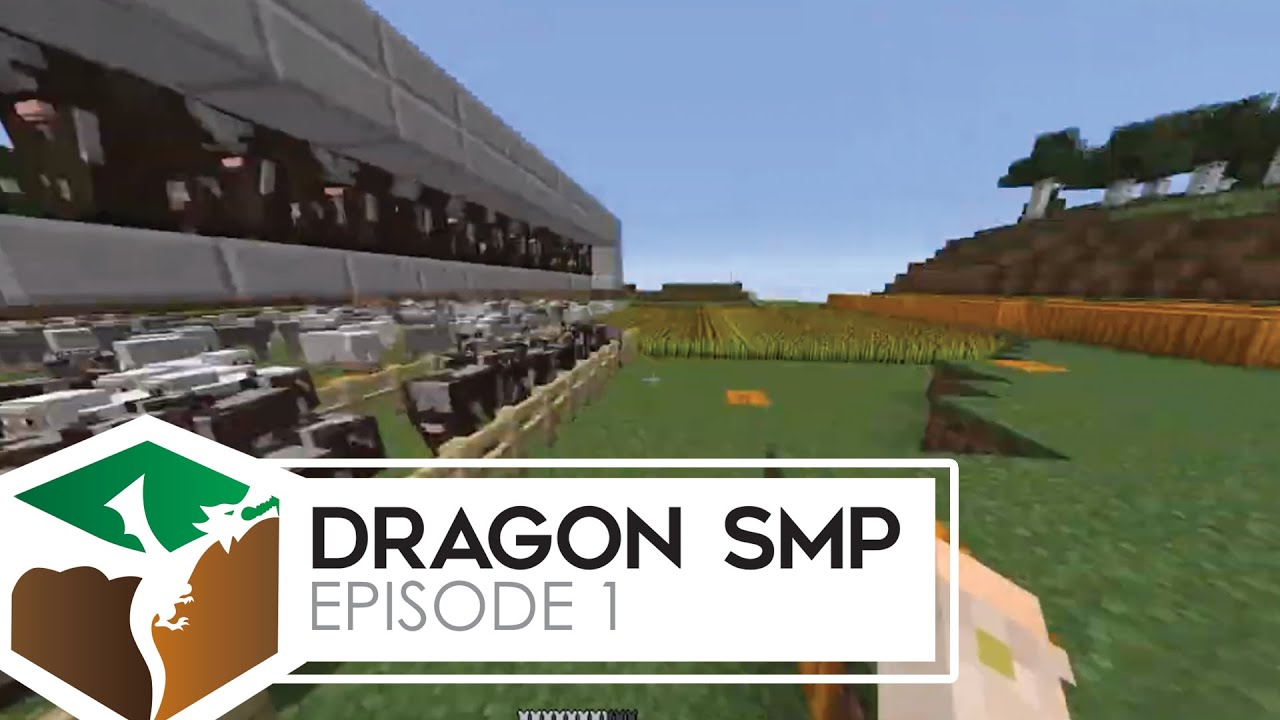 A Whole New World | Dragon SMP Episode 1 (Vanilla Minecraft 1.13) - YouTube