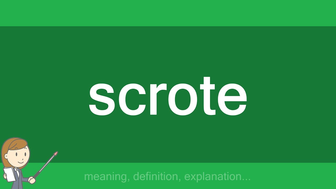 scrote - YouTube