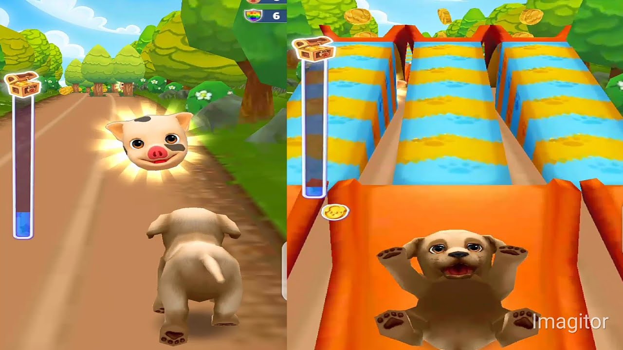 Pet run Game playing on mobile | Pet animals game | Pet race gaming ...
