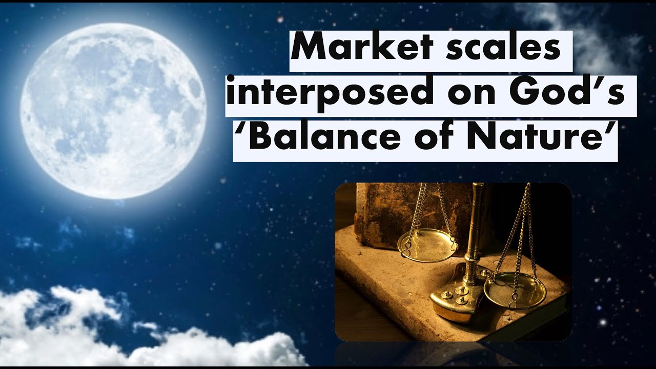 Odon-Pt.4: God's Balance in Nature, Corrupted (S.55:5-13) - YouTube