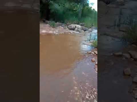 Bruno Melo bb indo para o berra bode -  risada de ladrão