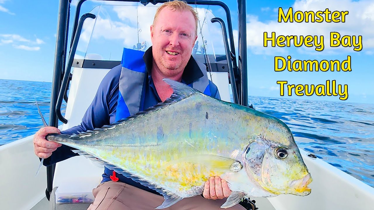 Hervey Bay Family Fishing; A Perfect Day on the Water with Diamond ...