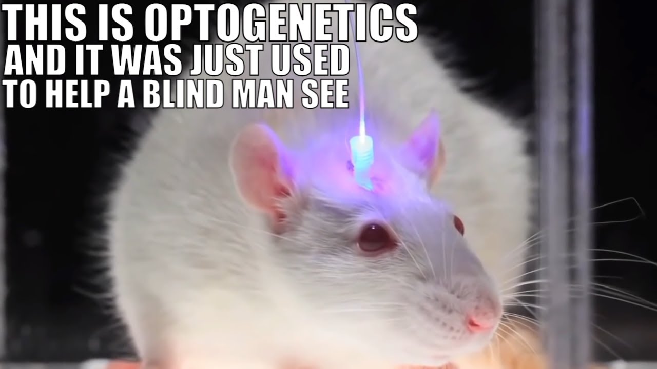 First Ever Use of Optogenetics in Humans Allows Blind Man to See - YouTube