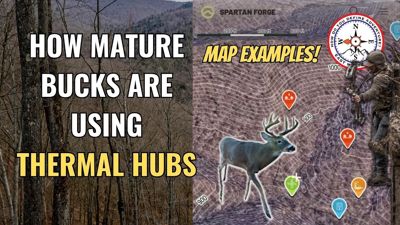 THERMAL HUB CHARACTERISTICS & How Mature Bucks Use Them | East Meets ...