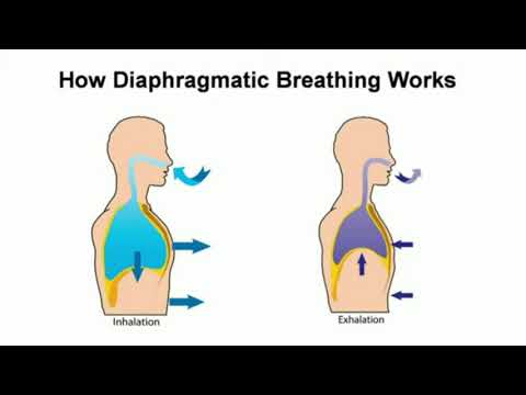 Correct way of Breathing - YouTube
