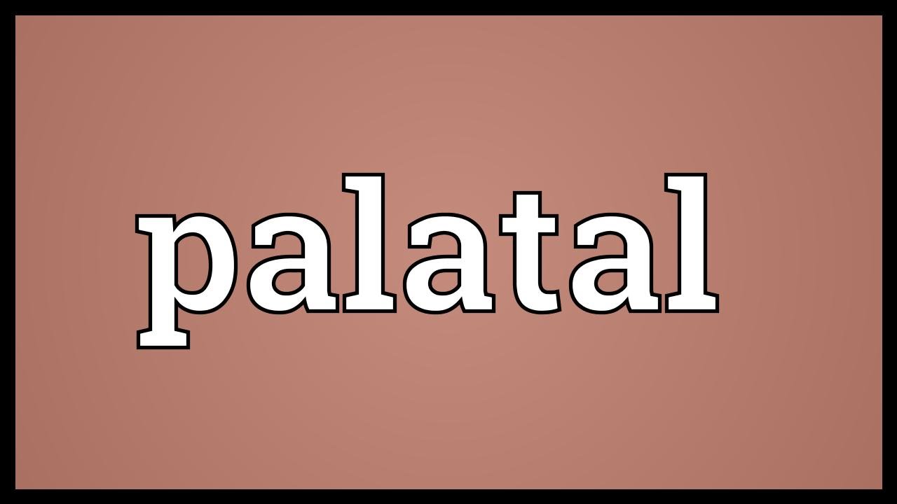 Palatal Meaning - YouTube