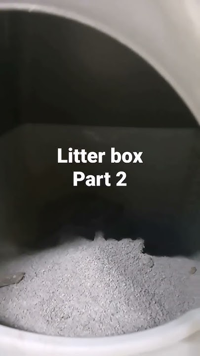 litter box part 2 - YouTube
