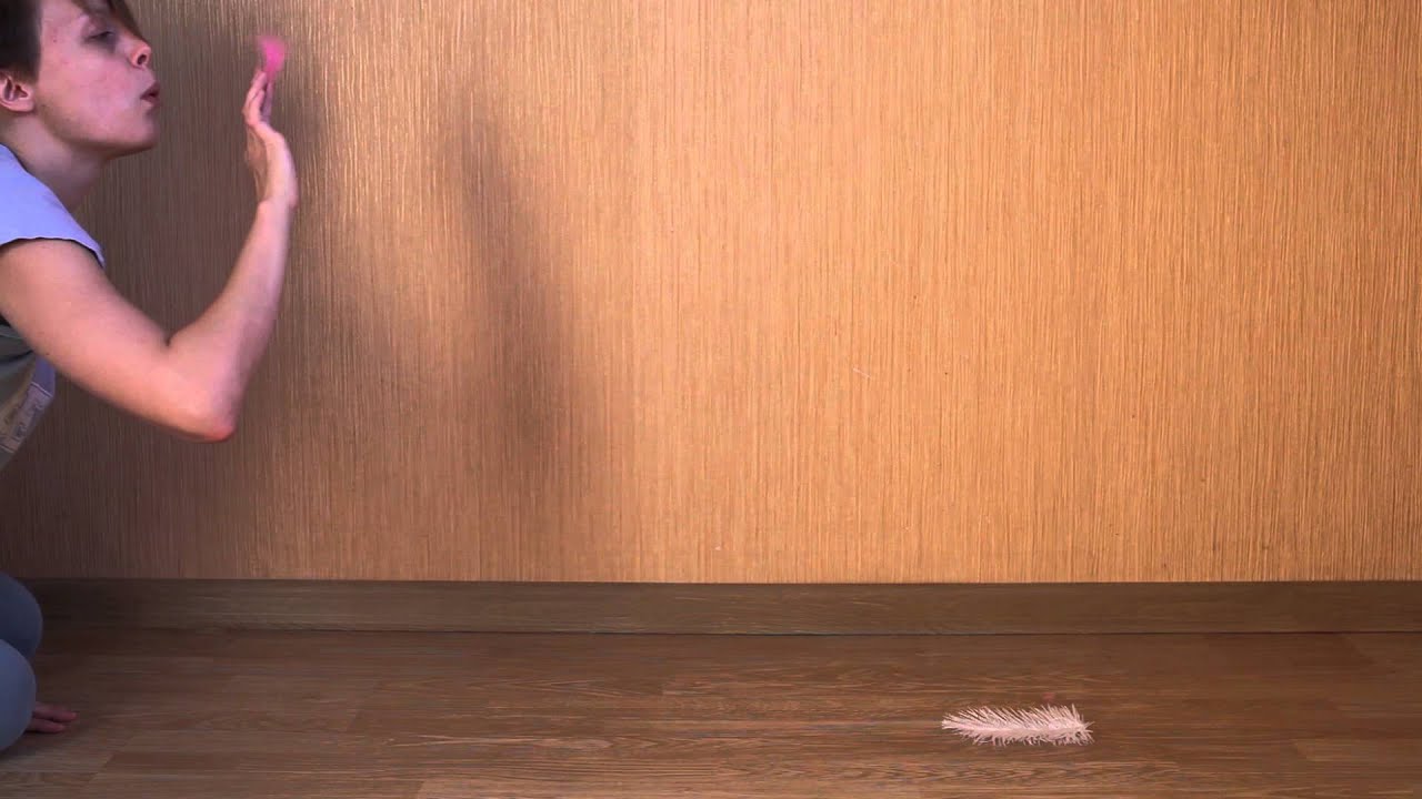 reference for animation: falling feather - YouTube