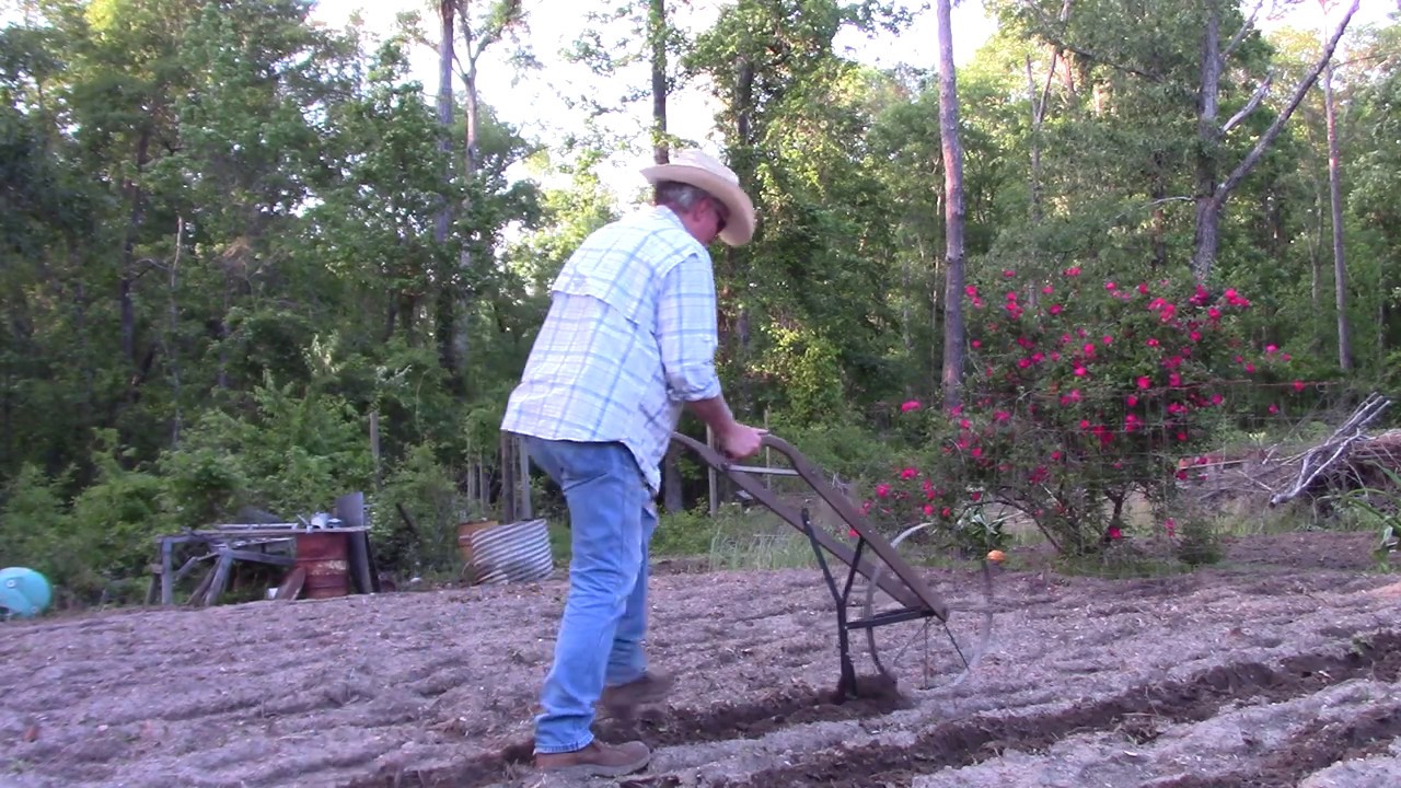 FARMERS ALMANAC STYLE PLANTING BY THE SIGNS !!! - YouTube