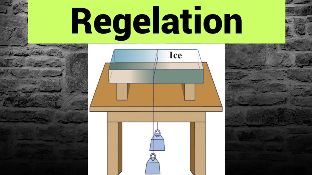 Regelation | what is regelation ? | regelation of ice | regelation of ...