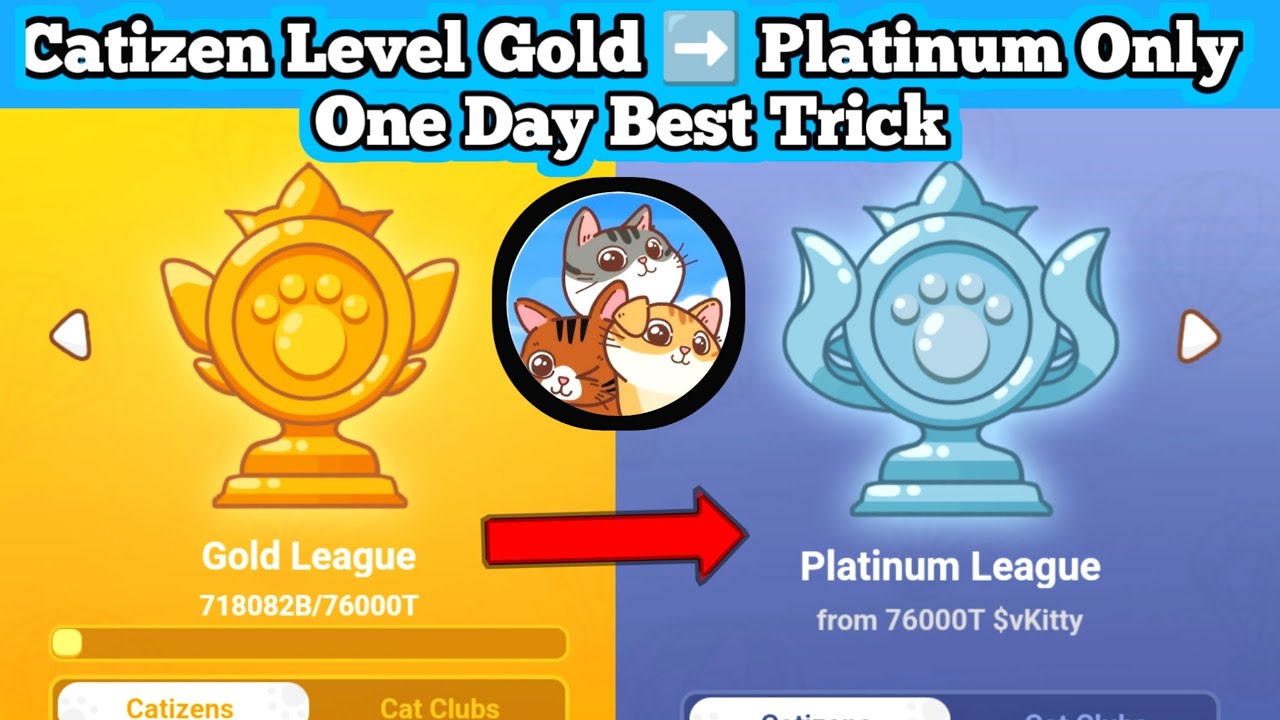 Catizen Best Trick To Complete Gold To Platinum | Catizen Airdrop Best ...