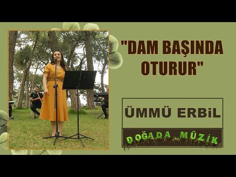 Ümmü Erbil - Dam Başında Oturur