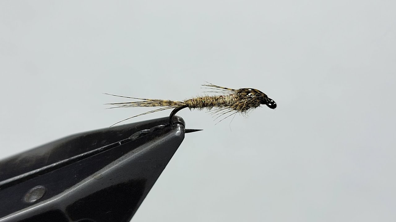 Tying the Ultimate MAYFLY NYMPH - YouTube