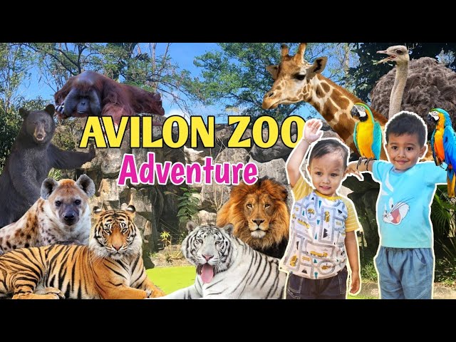 Avilon Zoo Entrance Fee
