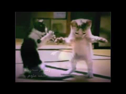 The story of Hamood Habibi - YouTube