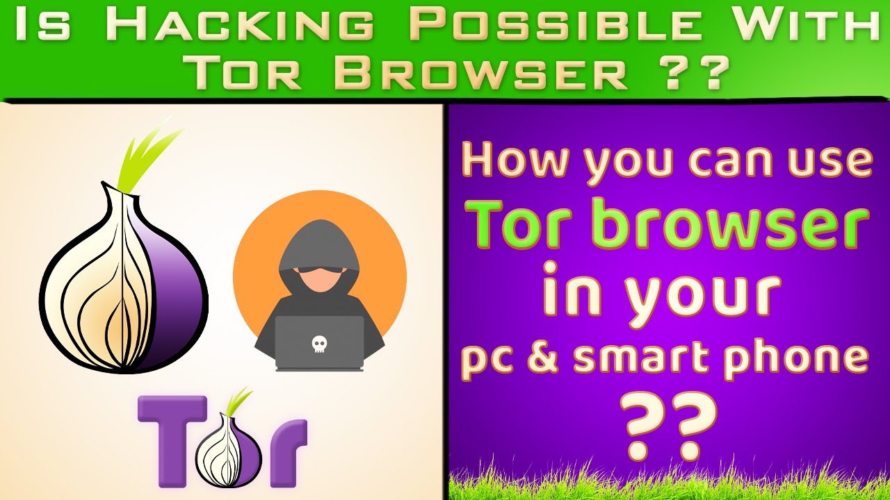 How to get tor browser on mobile - ccden