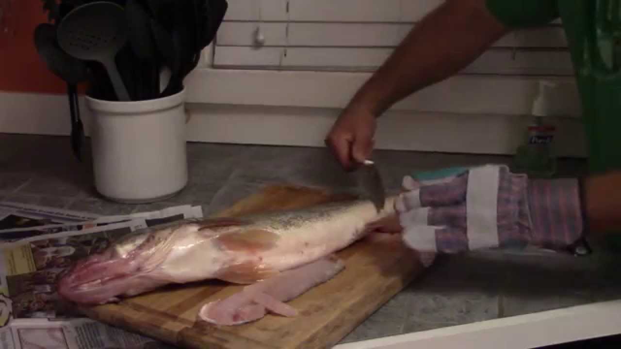Gutting a fish for the first time - YouTube