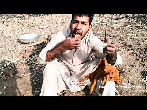 RABBIT ROASTED UNDERGROUND |RABBIT TANDOOR RECIPE - YouTube