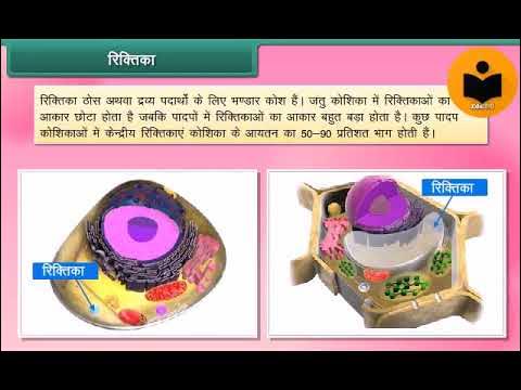 Class 8 Science | Cell: Structure & Function Explained | कोशिका - संरचना और कार्य | @EduHind ...