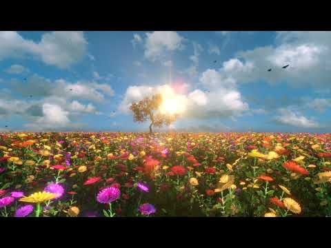 Spring Love💟💟||beautiful flower and butterflies in sun blossoms 🌻🌹🌺