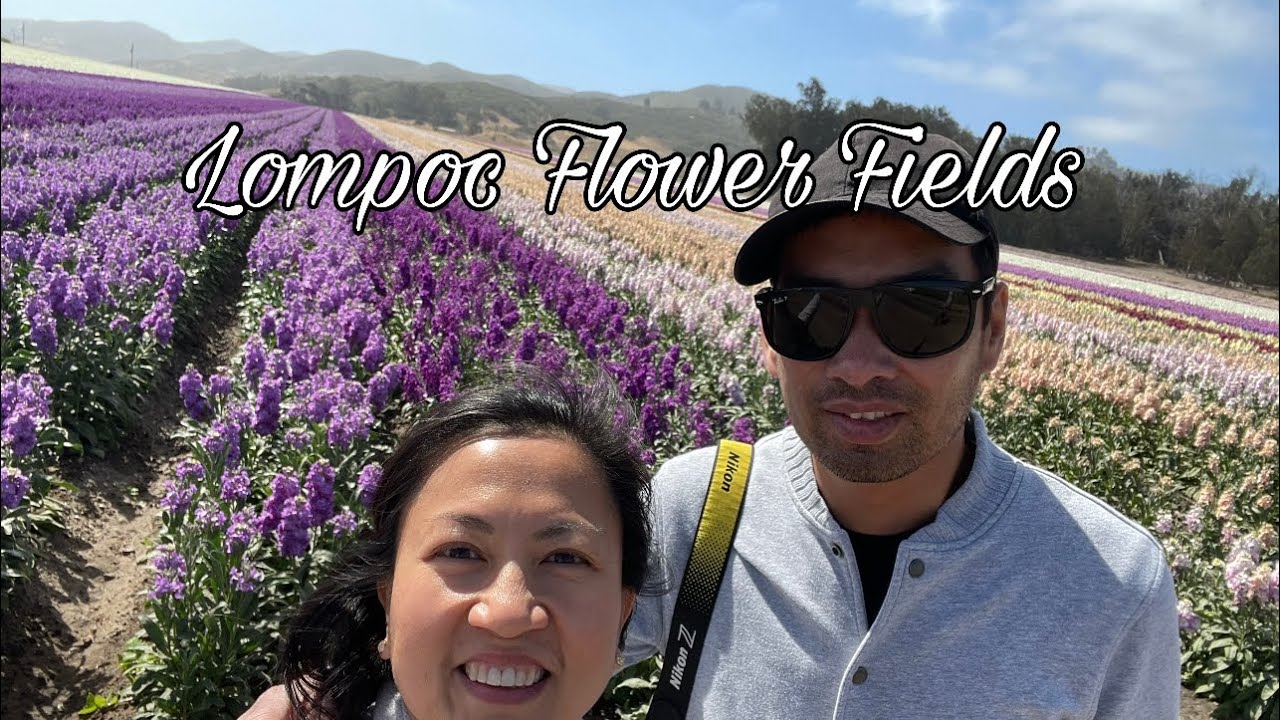 Lompoc Flower Field - YouTube