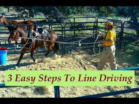 3 Steps To Line Driving - YouTube