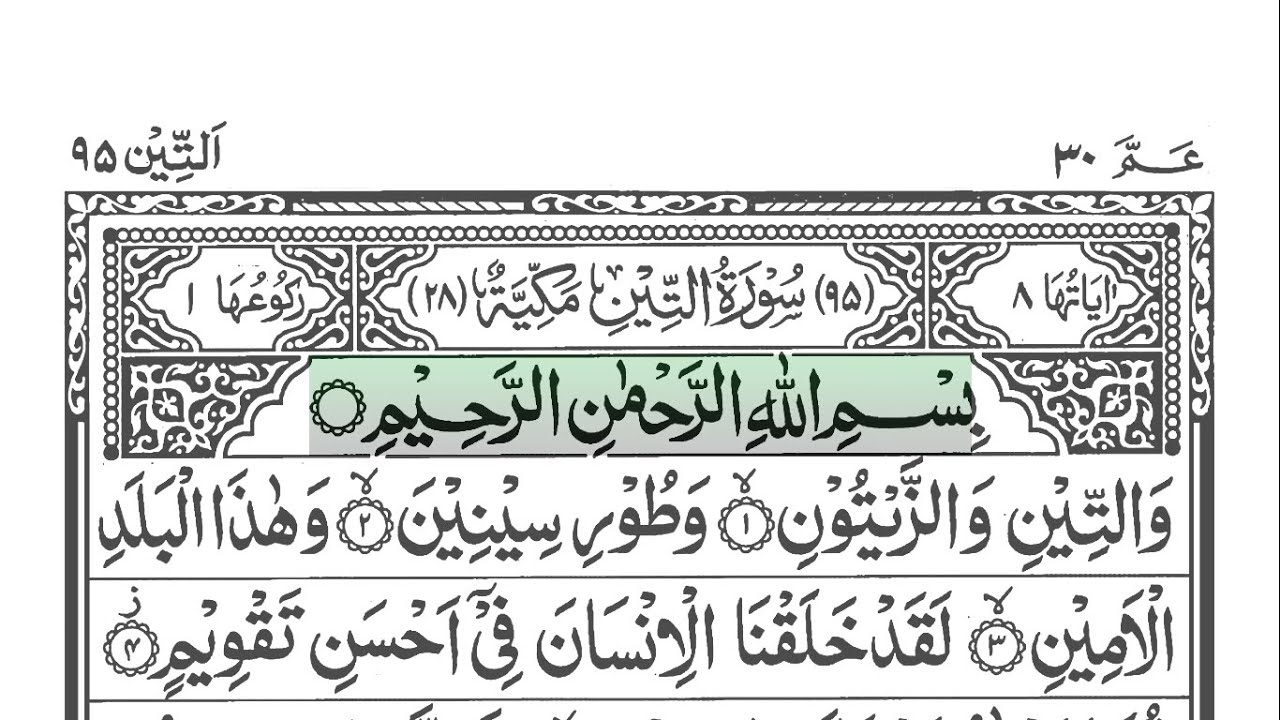 Surah At-Tin 95 [ The Fig ] سورة التين | Imam Faisel Muhammad | Guided ...
