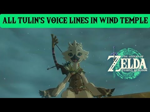 Zelda Tears of the kingdom - All of Tulin's voice lines in Wind Temple ...