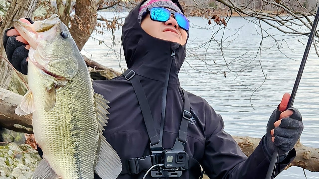 Fishing Fish Everything Taxi Shad in the Winter - Cast to Catch - YouTube