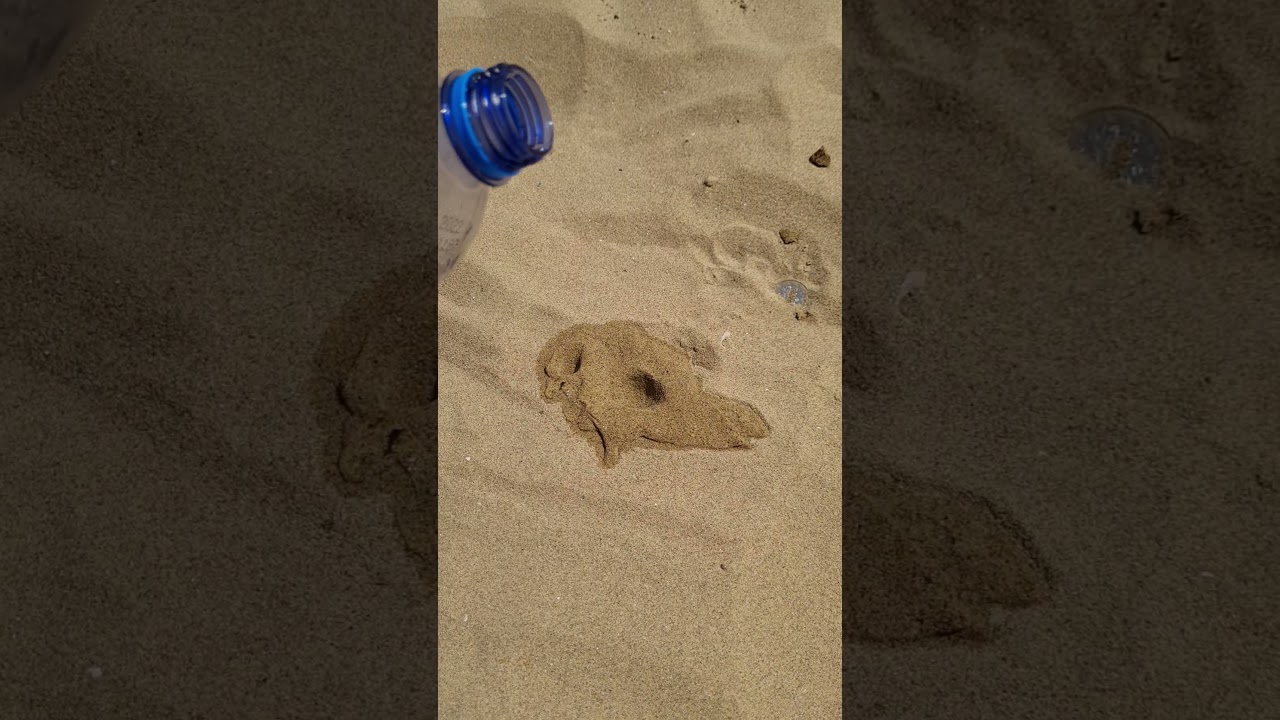 beach lifehack #condsty - YouTube