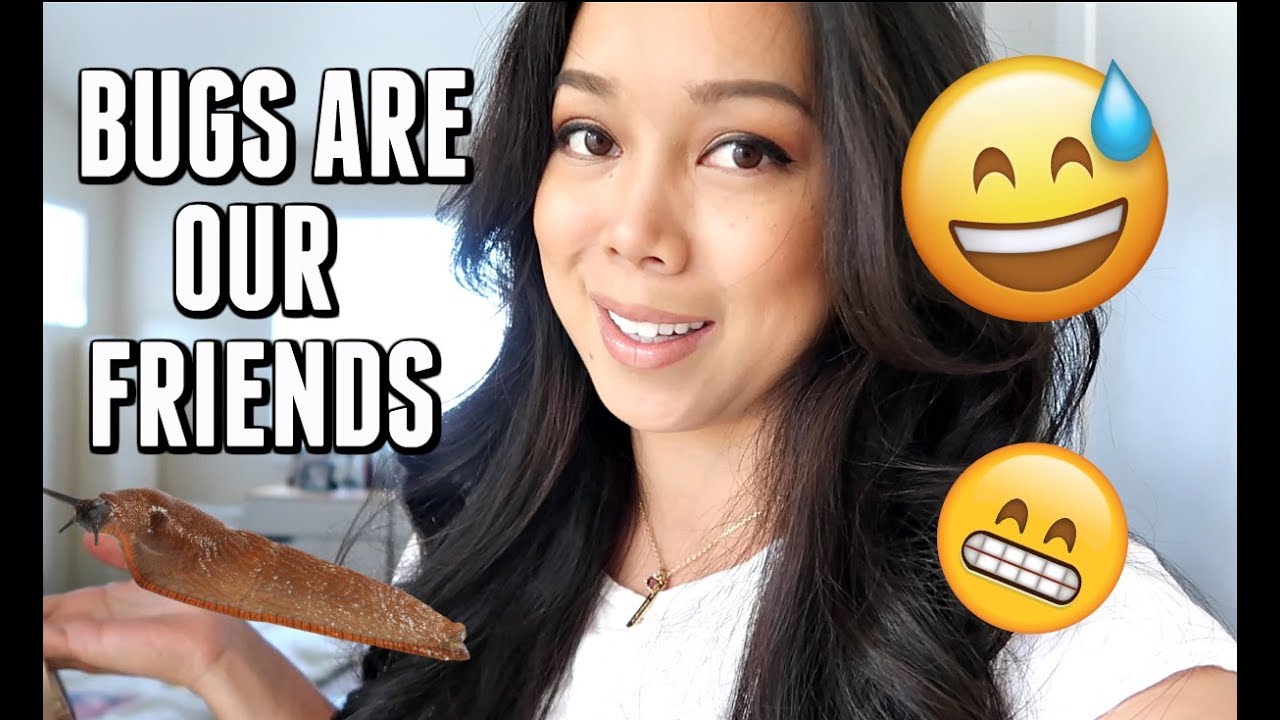 BUGS ARE OUR FRIENDS! - ItsJudysLife Vlogs - YouTube