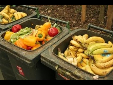 Containern, dumpstern. Taste the waste - oder was?