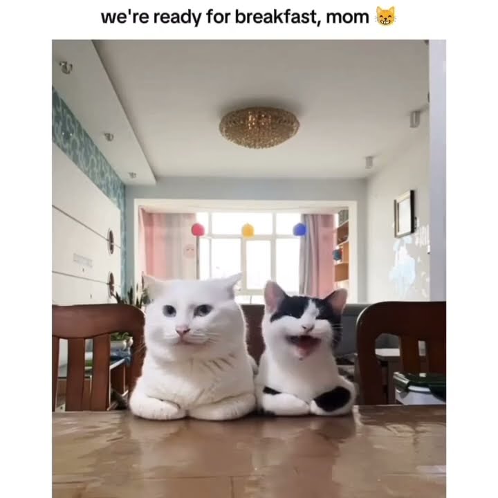 We are ready mom 🥰😇😉 - YouTube