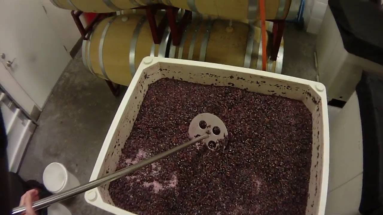 Paraboll Punchdown - YouTube