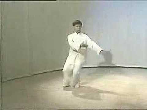 Yang Taiji, Master Yang Jun, 3th part of the long form 103 (2) - YouTube