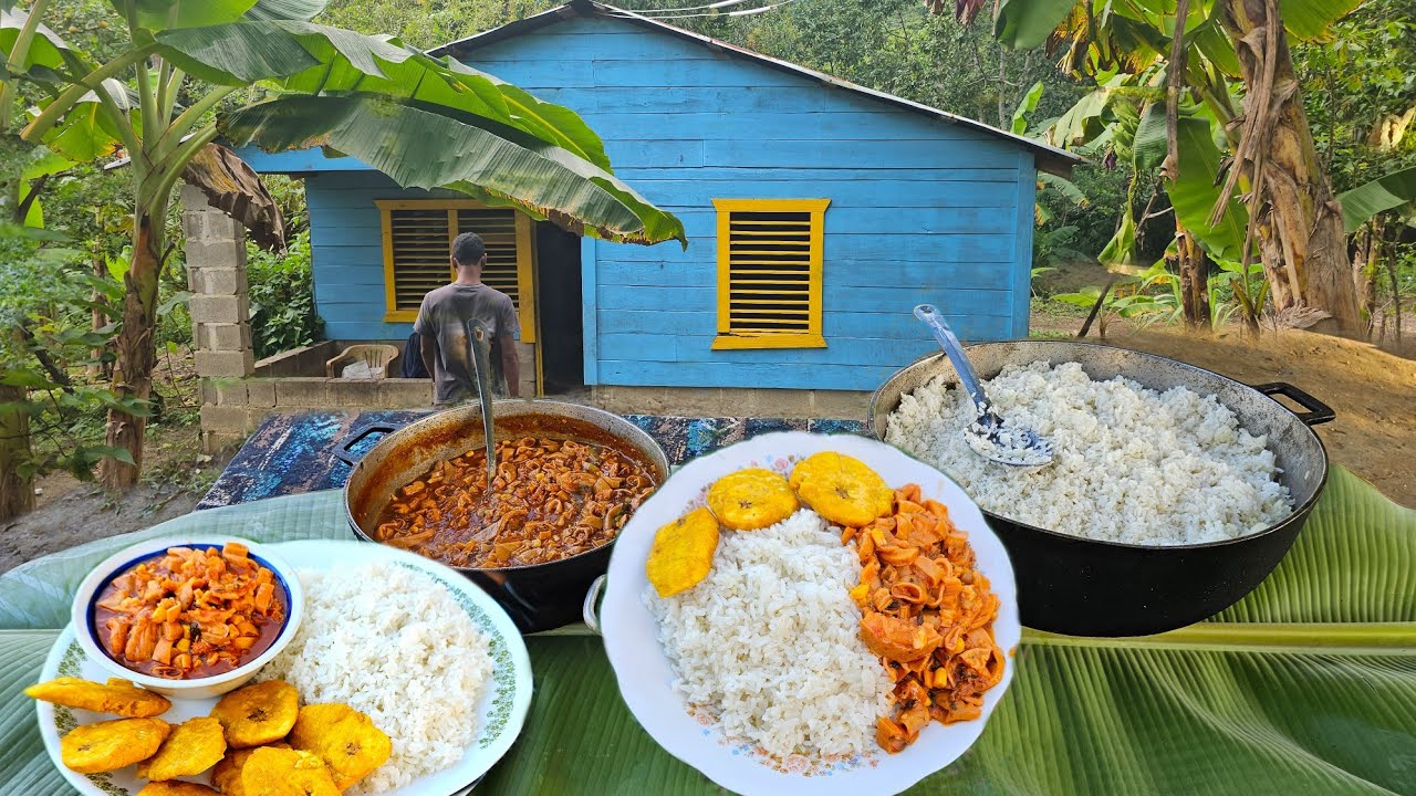 Mondongo Guisado A La Criolla Con Plátano Frito y Arroz I Comida Típica ...